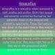 What You Need To Know About The Aroace Flag